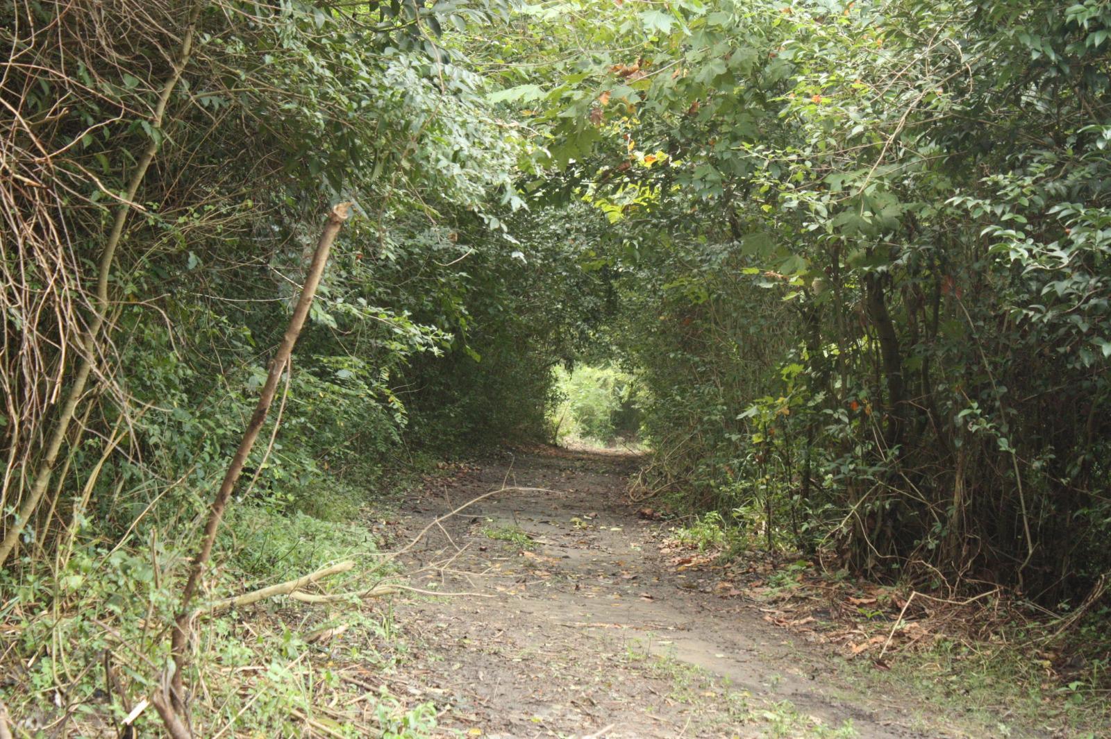 LOGRO DE LA LUCHA AMBIENTAL: ÁREA PROTEGIDA EN HUDSON